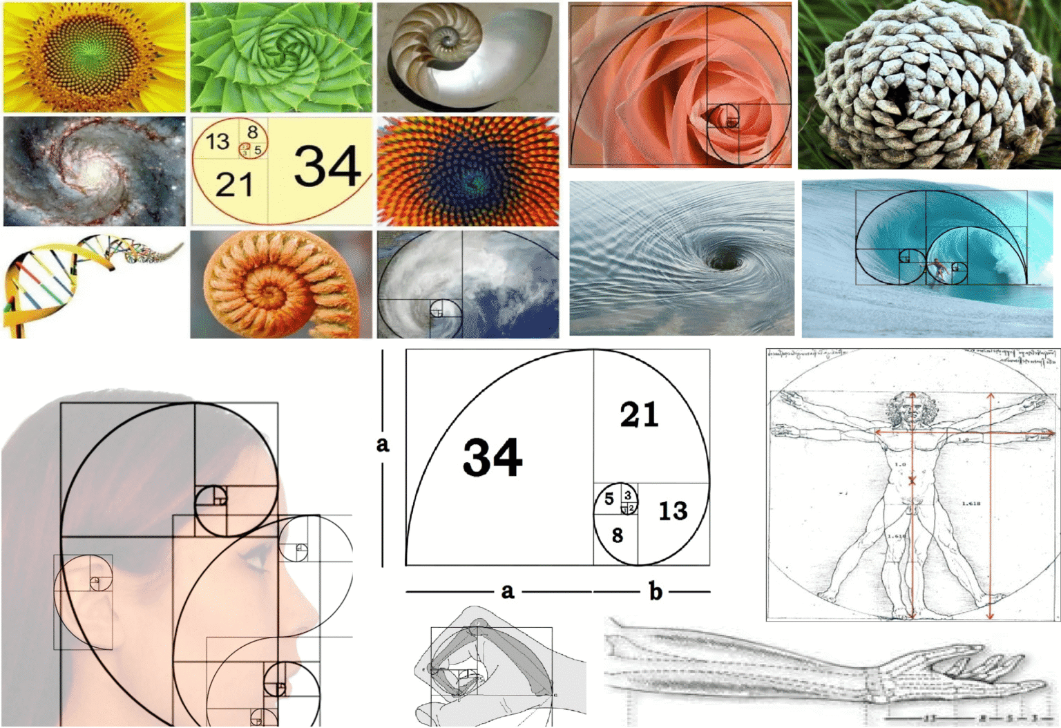 The Kybalion – The 7 Hermetic Principles of Natural Law | Worth Knowing ...
